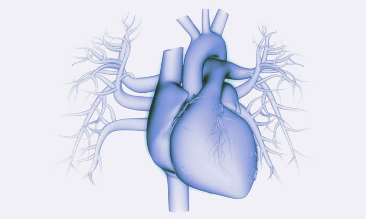 Expert Heart Health Services | Atlanta Heart Specialists